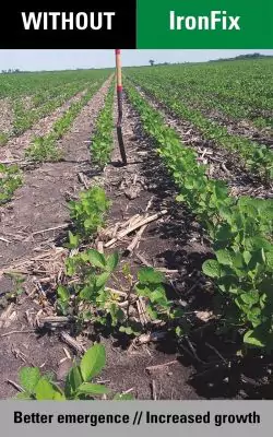 Protect your Soybeans from IDC with IronFix